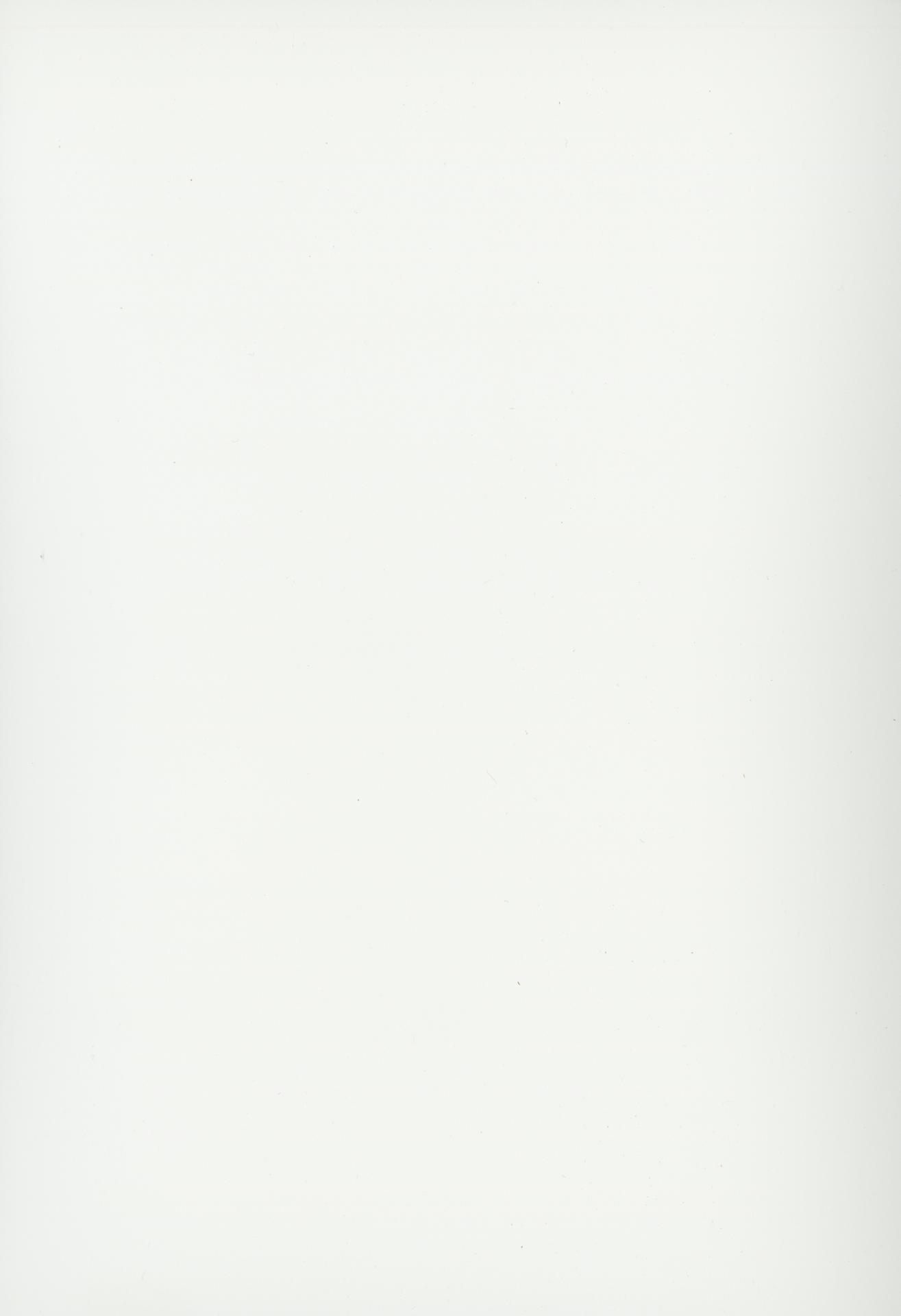 Beschichtete Spanplatte Resopal 9410 TB Traceless Faced Board / VV ...