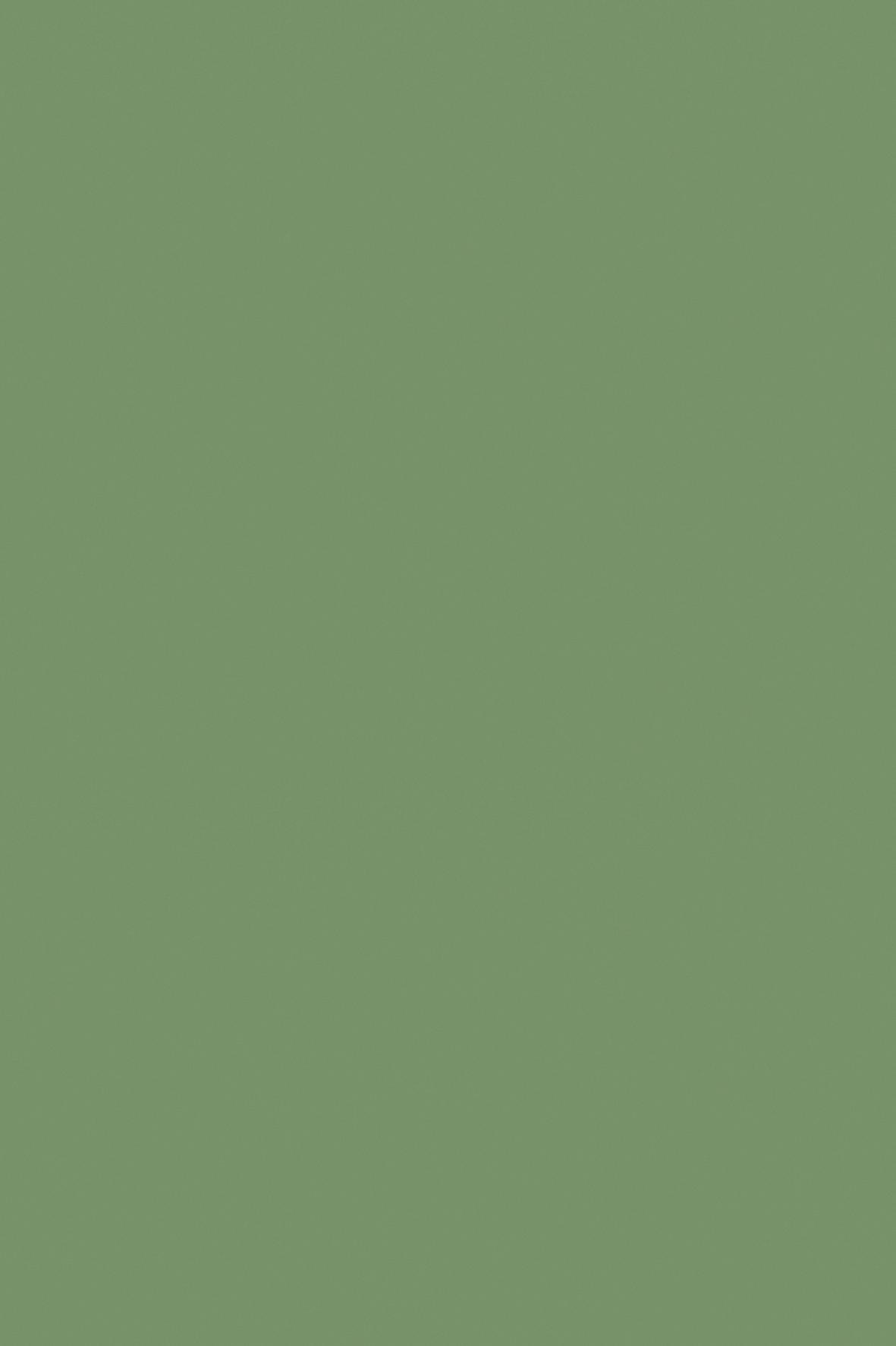 Beschichtete Superpan-Spanplatte Finsa 7AT S3 Soft III Verde Oliva ...