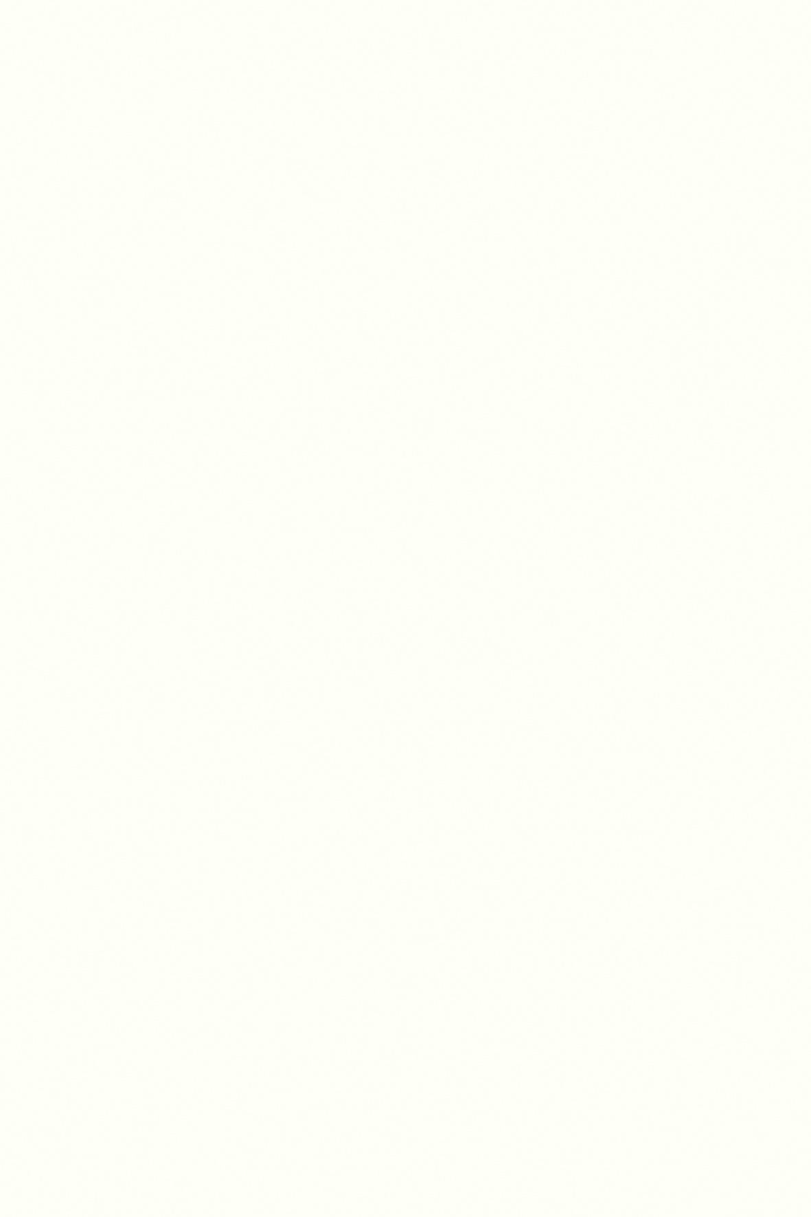 Beschichtete Superpan-Spanplatte Finsa 040 S3 Soft III Blanco Super ...